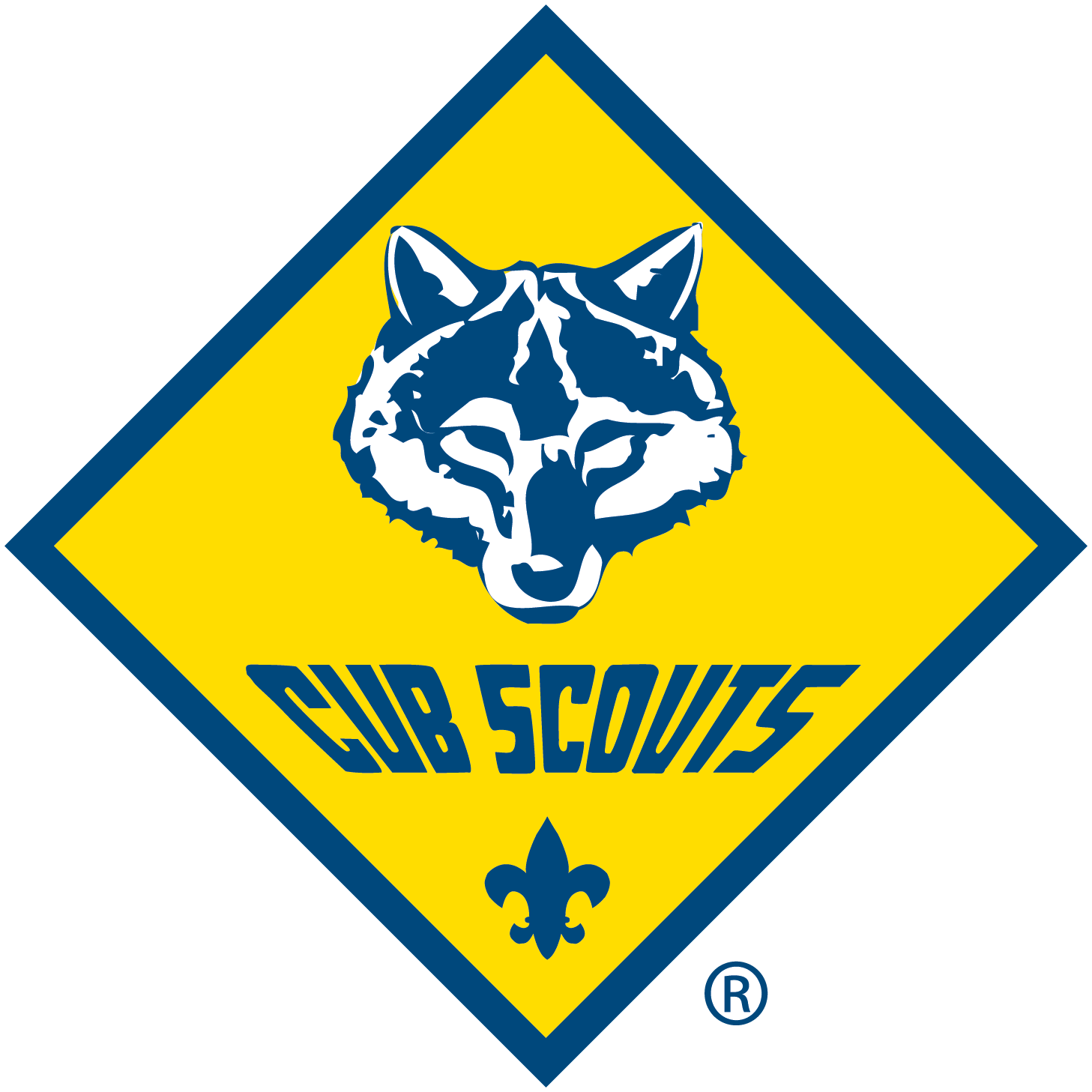 Join Golden Gate Scouting